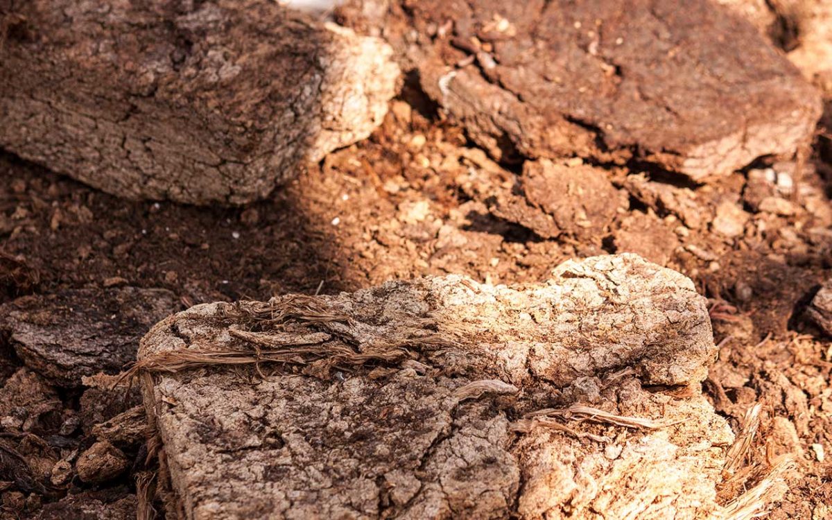 Torf im Garten TÖTET - Lasst den Torf im Moor!